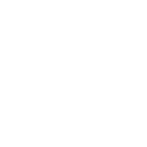 luseed-vascular – luseed-vascular